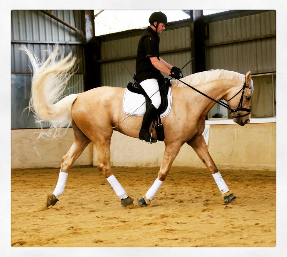 Building Confidence for Competition with Craig Lucas – CLM Equine